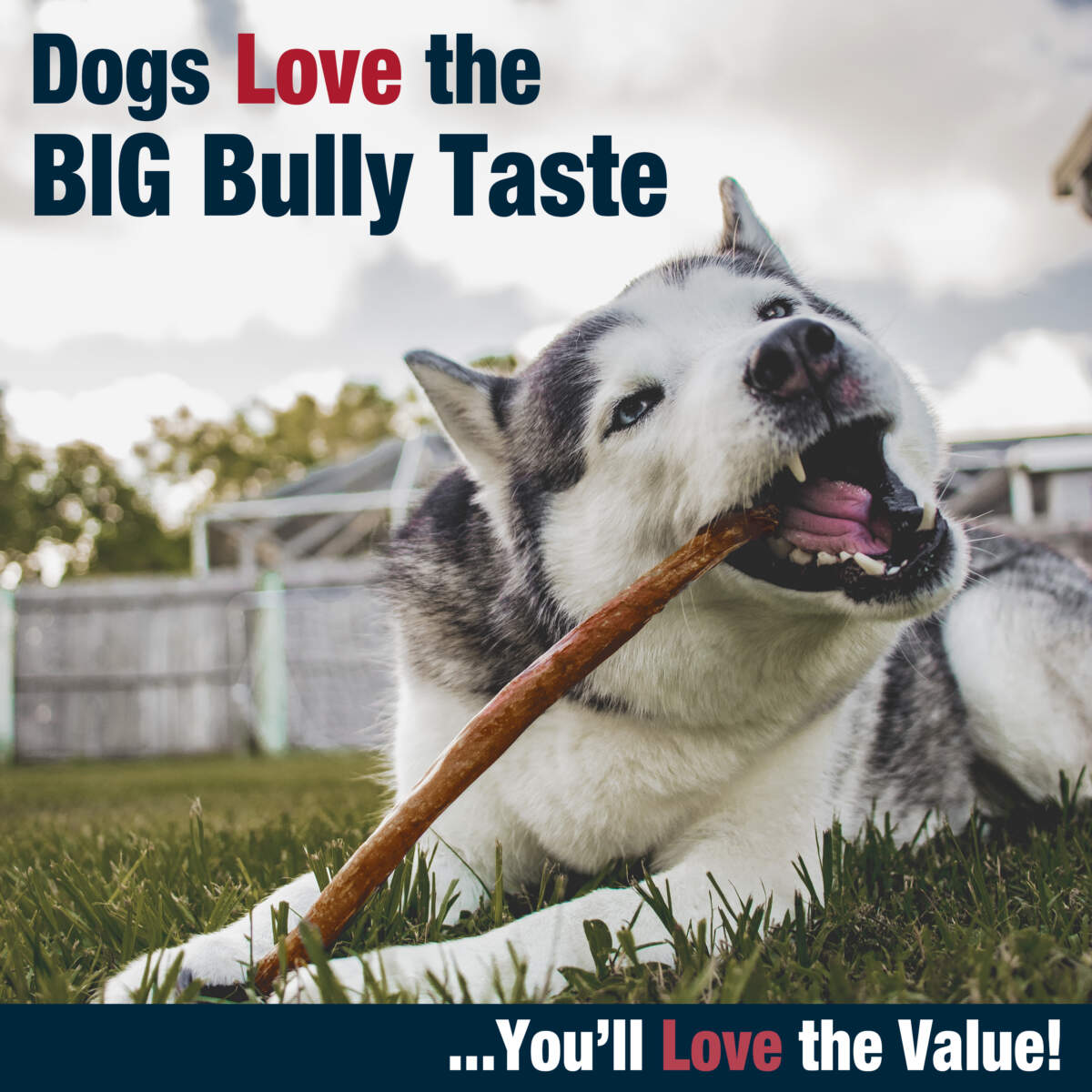 Bully Hide Sticks | All-Natural Dog Chews | Cadet Pet